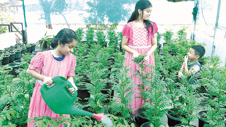 മ ട്ടു പ്പാ വി ൽ ക ണ്ട സ്വ പ്നം യാ ഥാ ർ ഥ്യ ത്തി ലേ ക്ക്; കു ട്ടിക്കർ ഷ ...